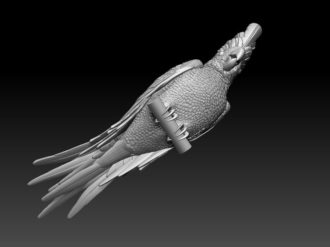 Parrot Cacadu - 3D Model by Explorer