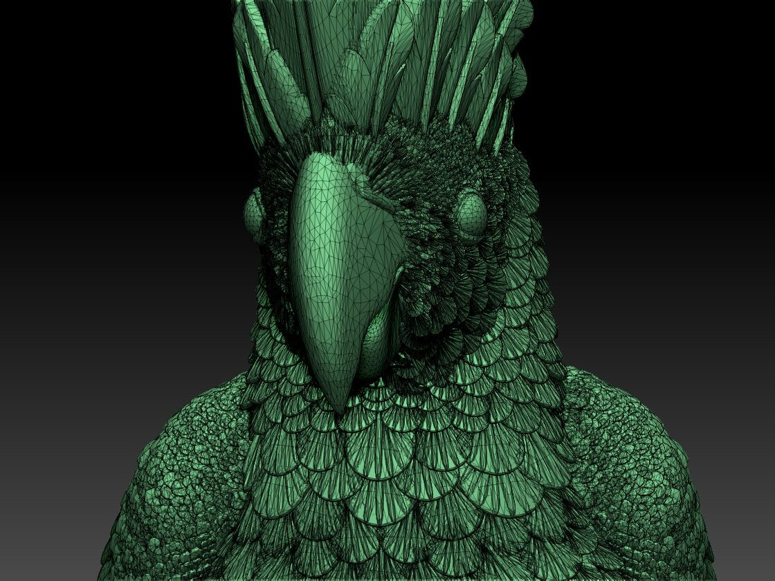Parrot Cacadu - 3D Model by Explorer