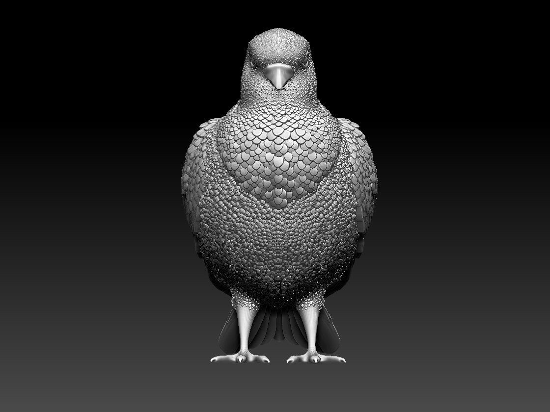 Pigeon - 3D Model by Explorer