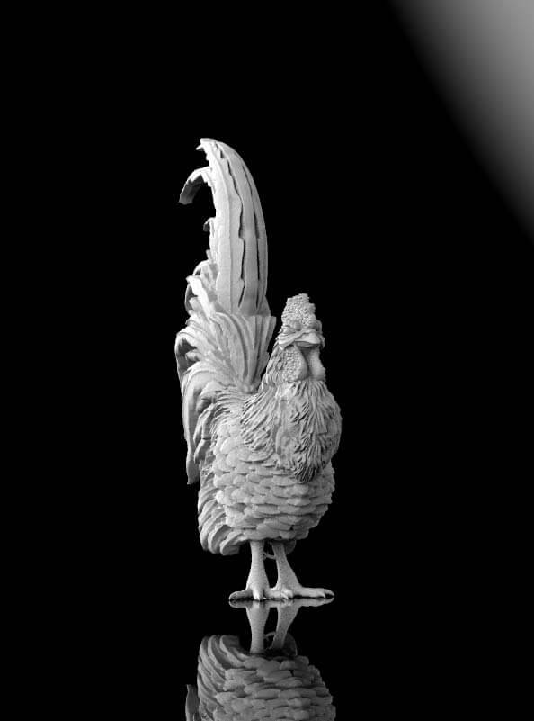 Rooster - 3D Model by Explorer
