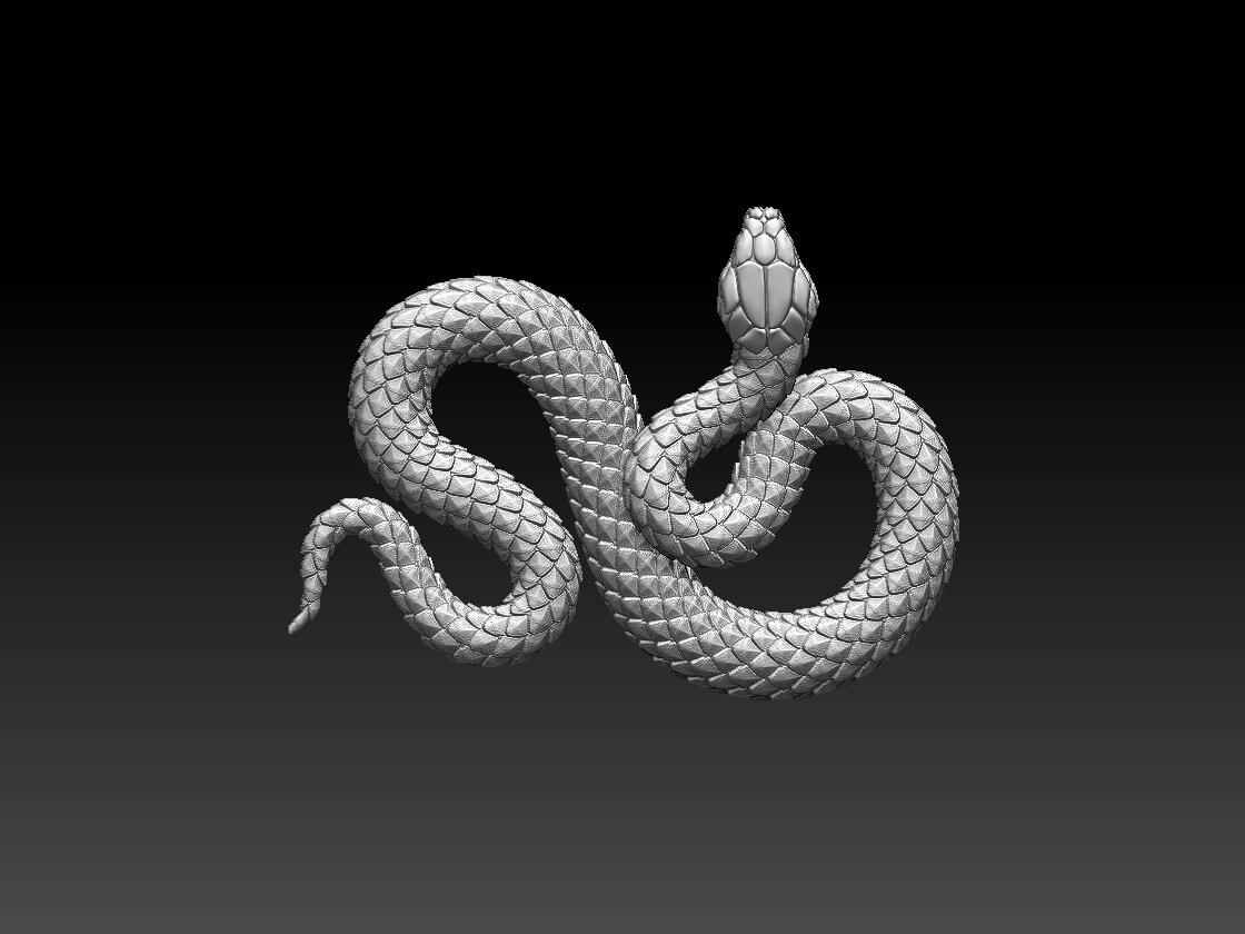 Snake - 3D Model by Explorer
