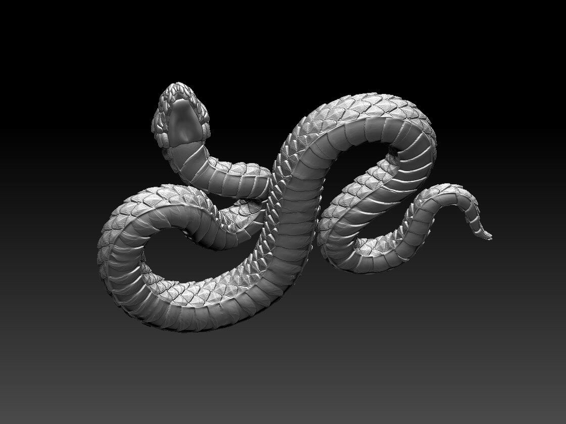 Snake - 3D Model by Explorer