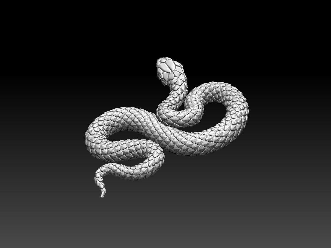 Snake - 3D Model by Explorer