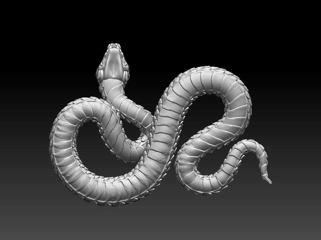 Snake - 3D Model by Explorer
