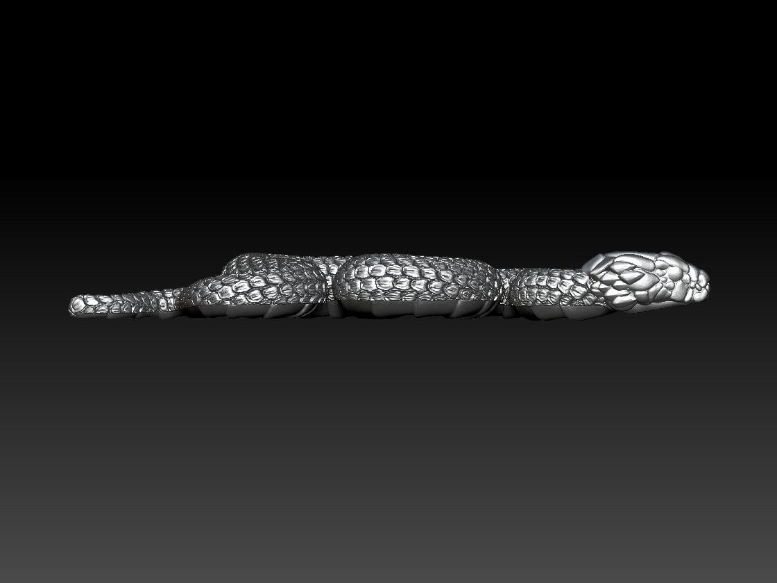 Snake - 3D Model by Explorer