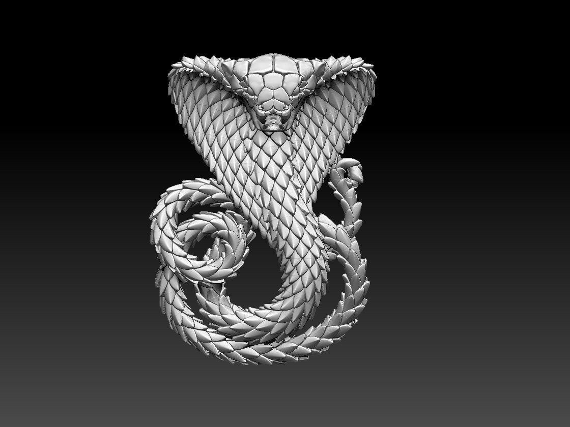 Snake - 3D Print Model by Explorer