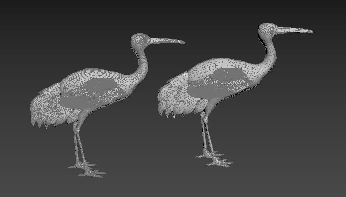 Stork - 3D Model by Explorer
