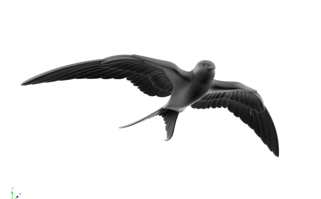 Swallow - 3D Model by Explorer