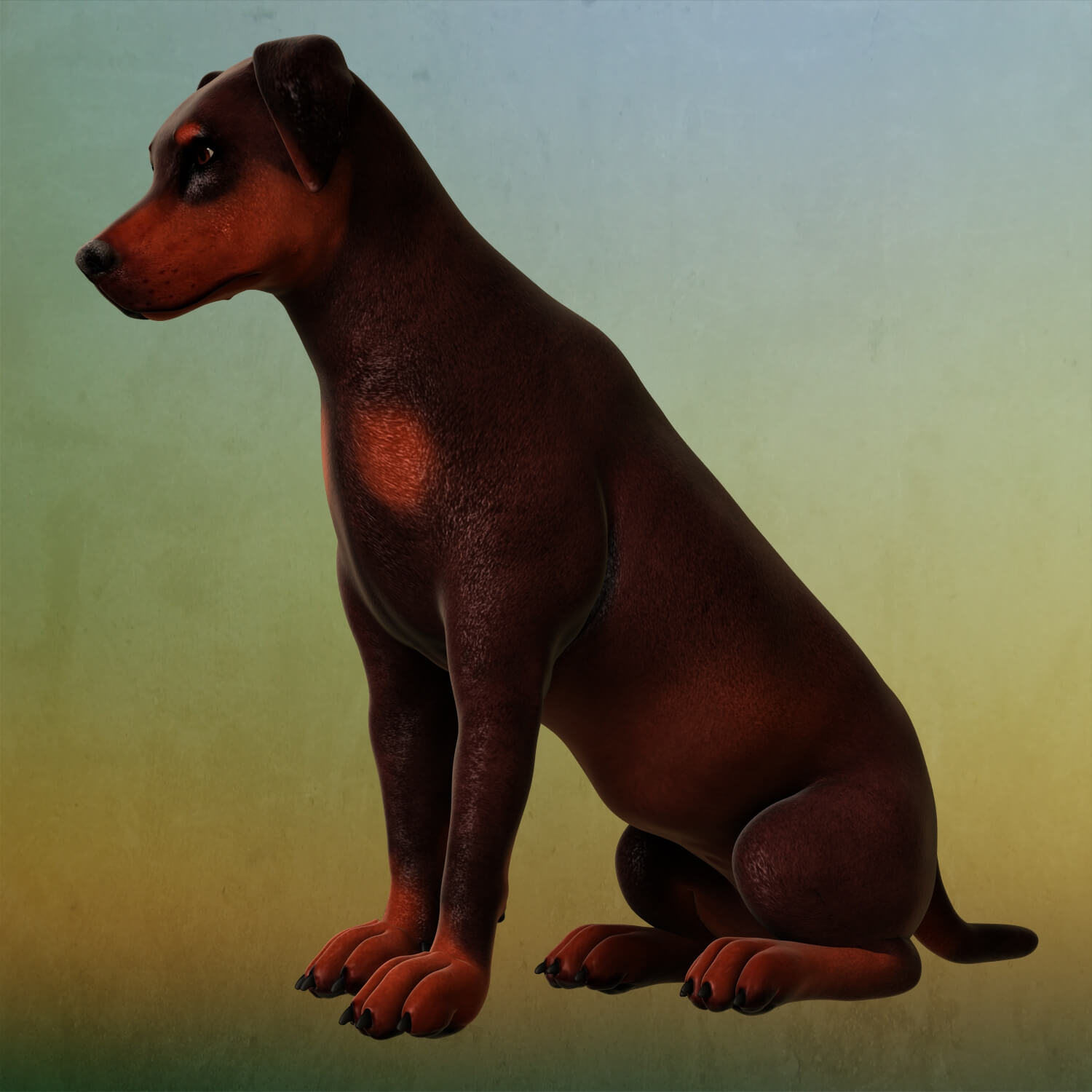 Dogs Morphs for Daz Dog 8 by Ext3nd Studio