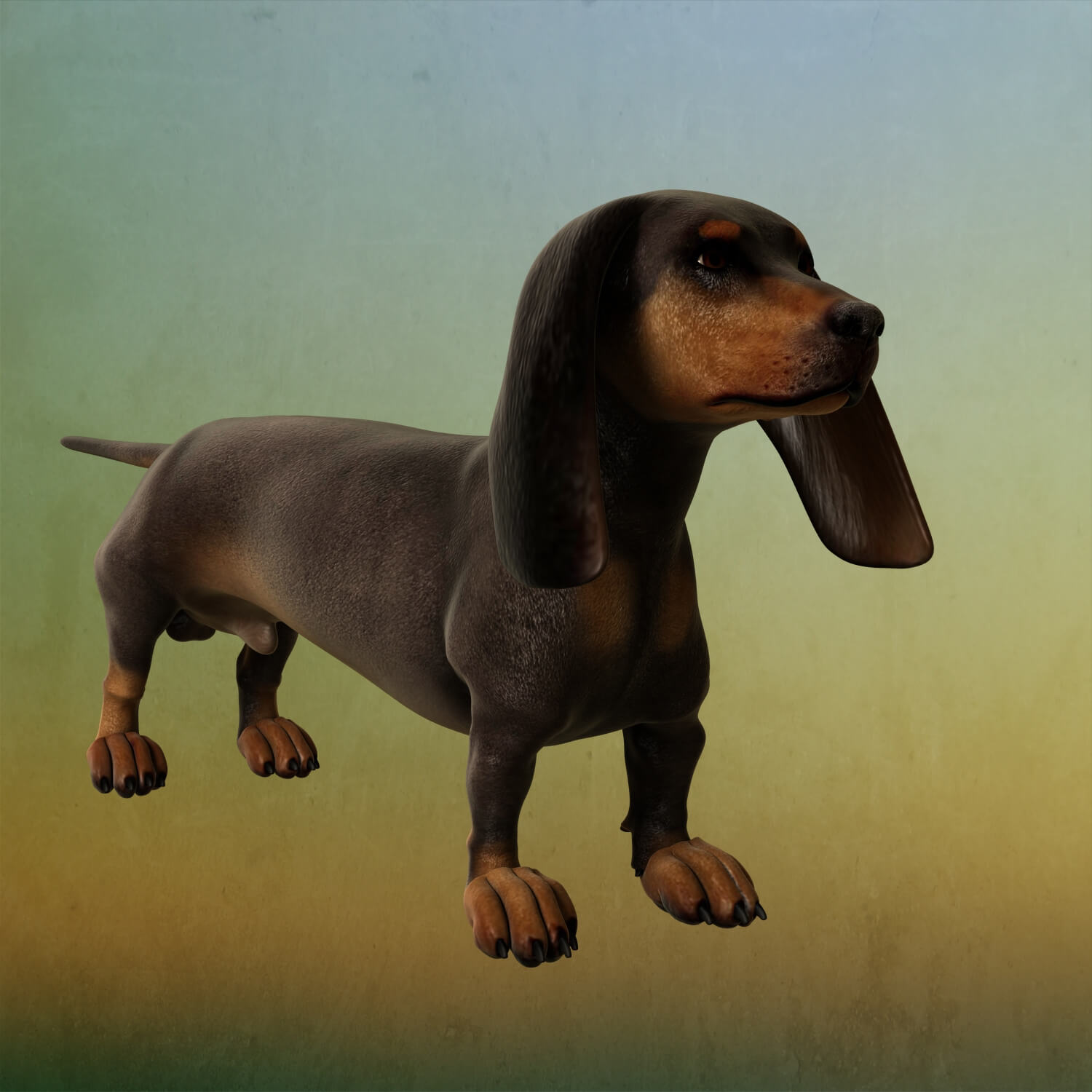 Dogs Morphs for Daz Dog 8 by Ext3nd Studio