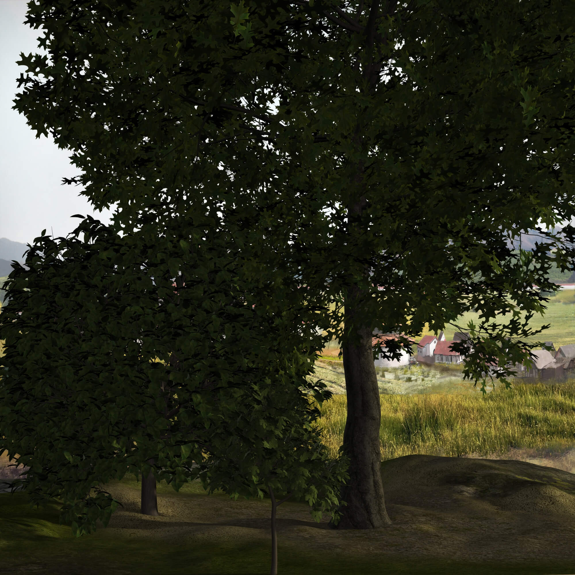 Trees 3D Render, Digital Art by Ext3nd Studio