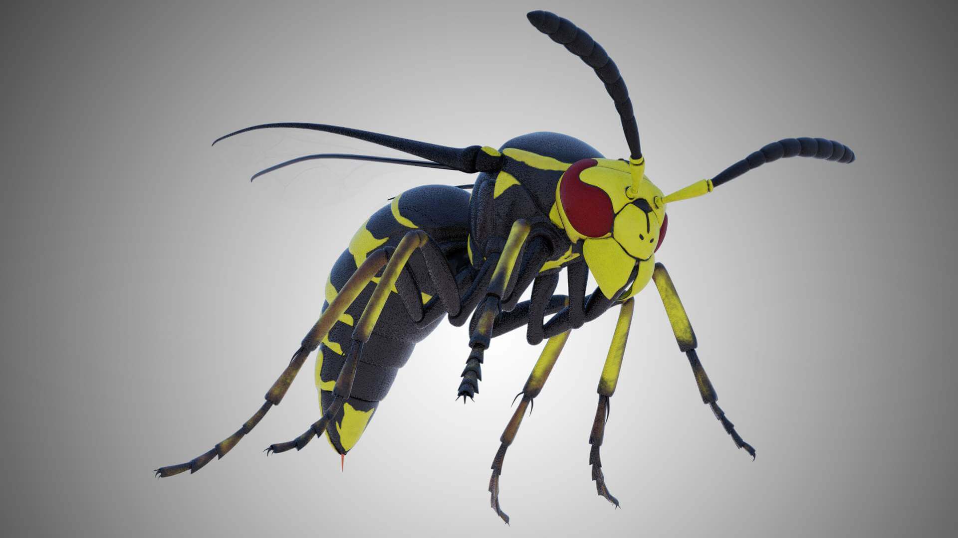 Wasp - 3D Model by F540