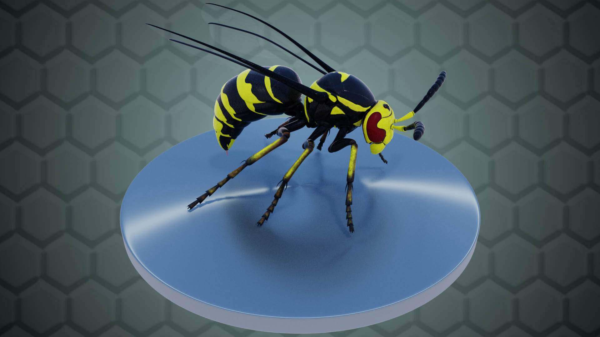 Wasp - 3D Model by F540