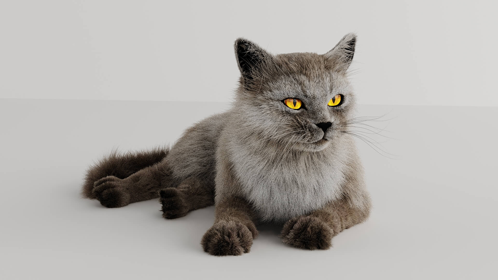 Cat Animal 3D by fabioalireza