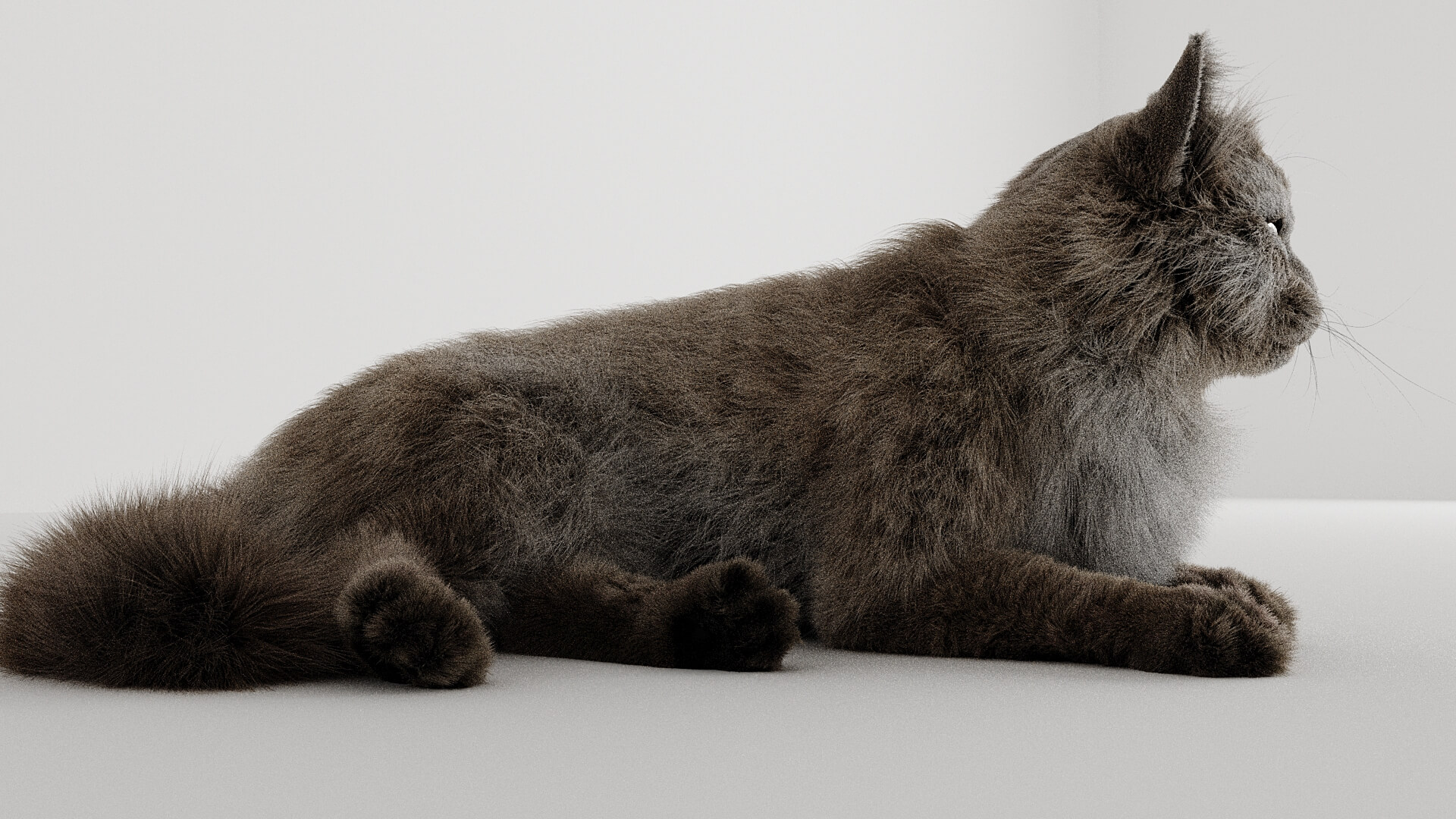 Cat Animal 3D by fabioalireza