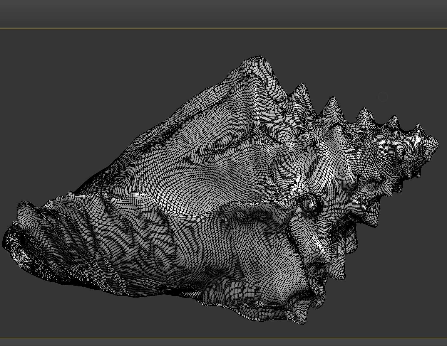 Shell Strombus - 3D Model by fabiobispo