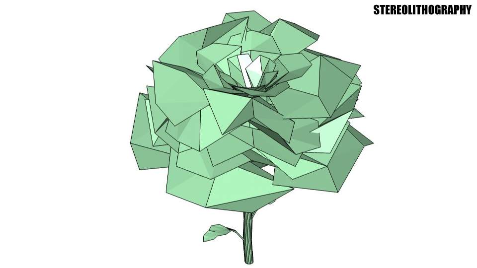 Rose - 3D Model by faizal3DX
