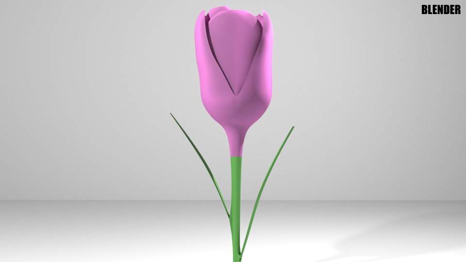 Tulip - 3D Model by faizal3DX