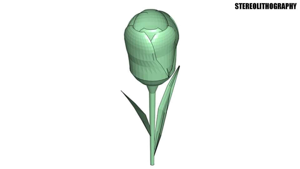 Tulip - 3D Model by faizal3DX