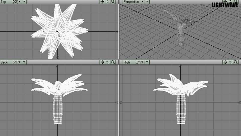 Oil Palm Tree - 3D Model by faizal3DX