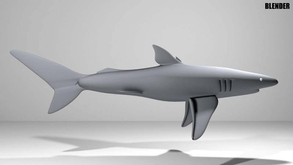 Blue Shark - 3D Model by faizal3DX