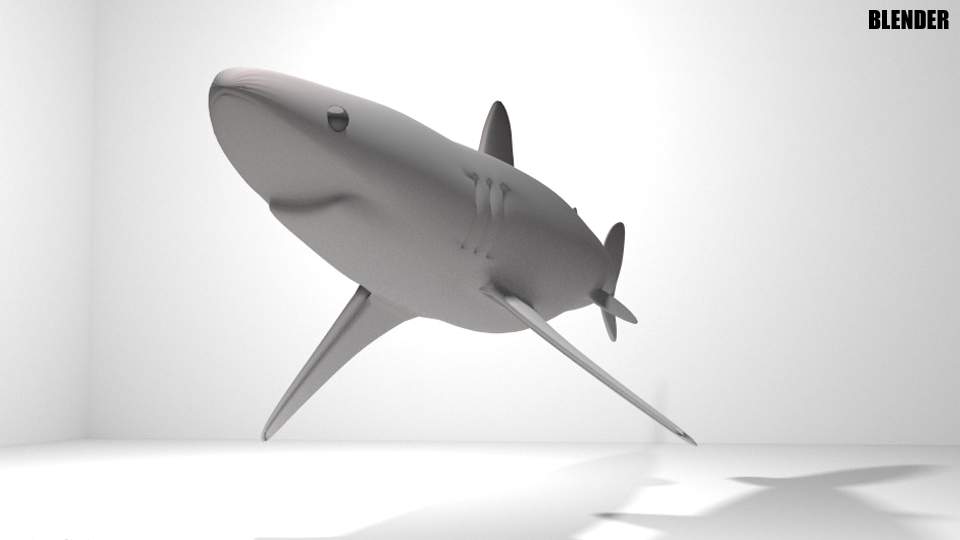 Piked Shark - 3D Model by faizal3DX