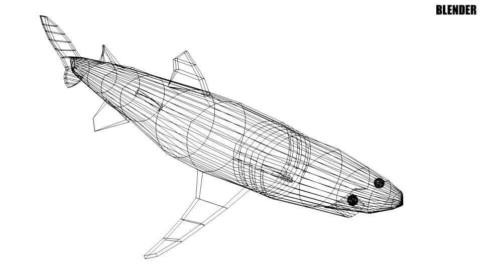 Piked Shark - 3D Model by faizal3DX