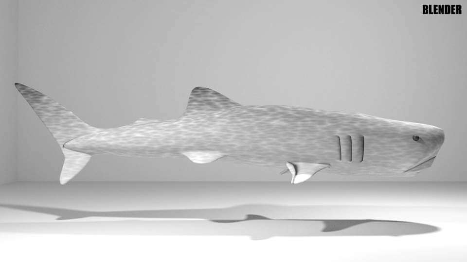 Whale Shark - 3D Model by faizal3DX