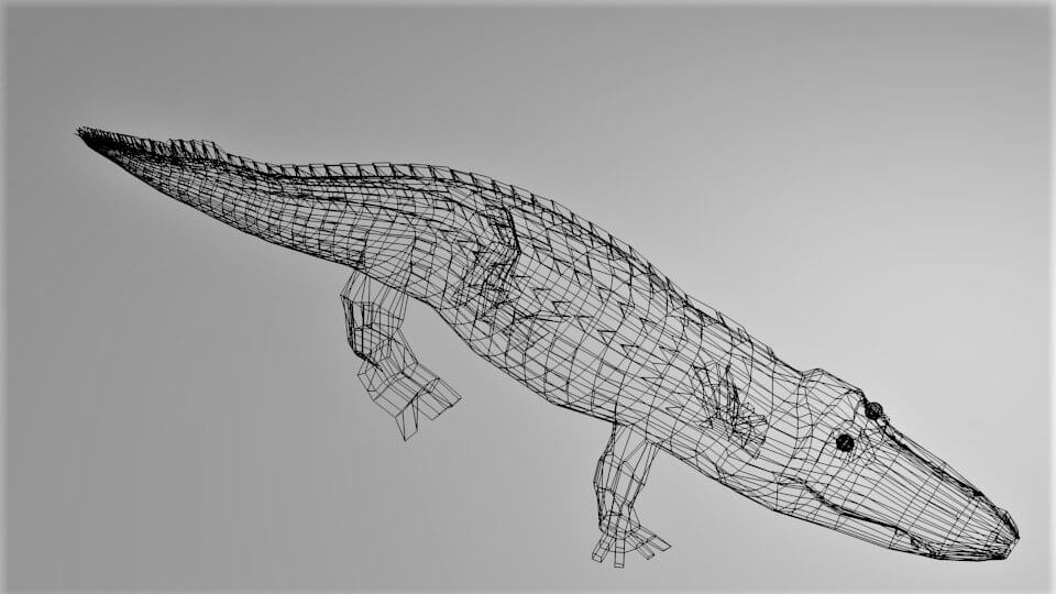 Alligator - 3D Model by faraharis