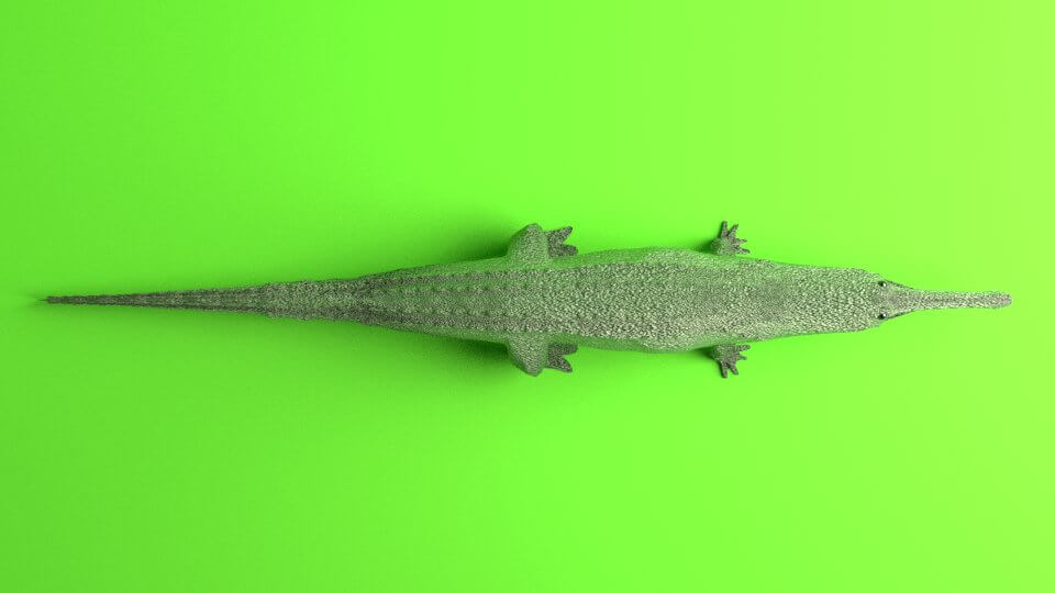 Gharial - 3D Model by faraharis