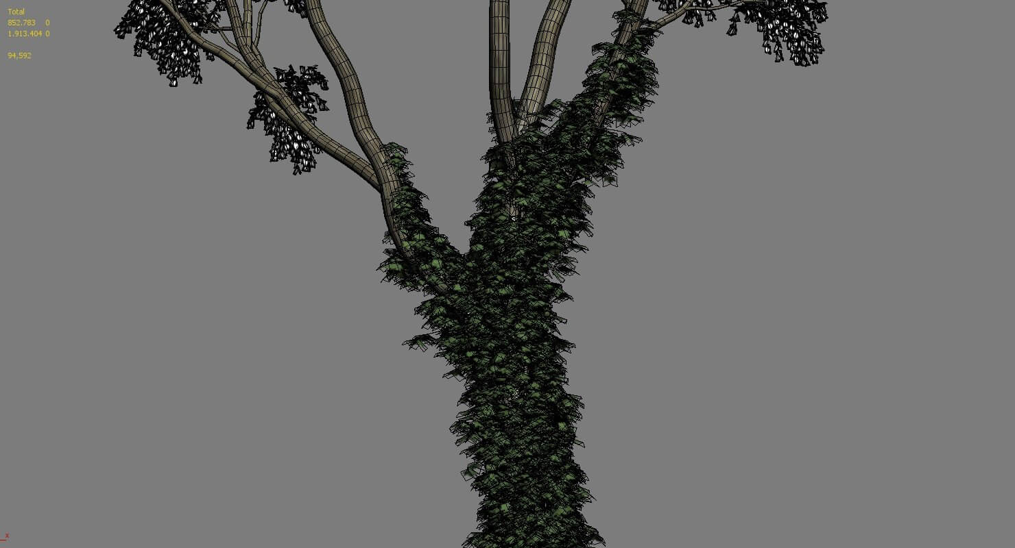 Tree Creeper - 3D Model by ferhatkose19