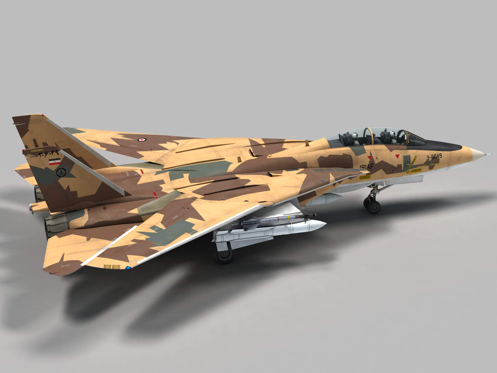 Grumman F-14 AM Iranian Improved Version 3D Model by FiniasK