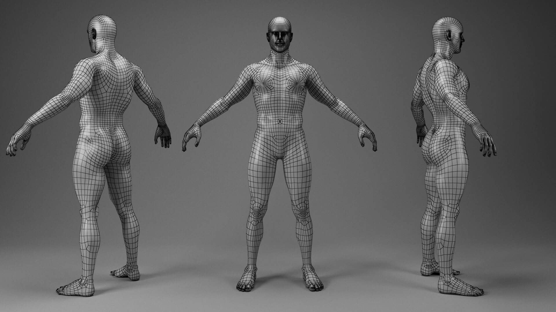 Character Base Mesh Kit - 3D Model by FIRA