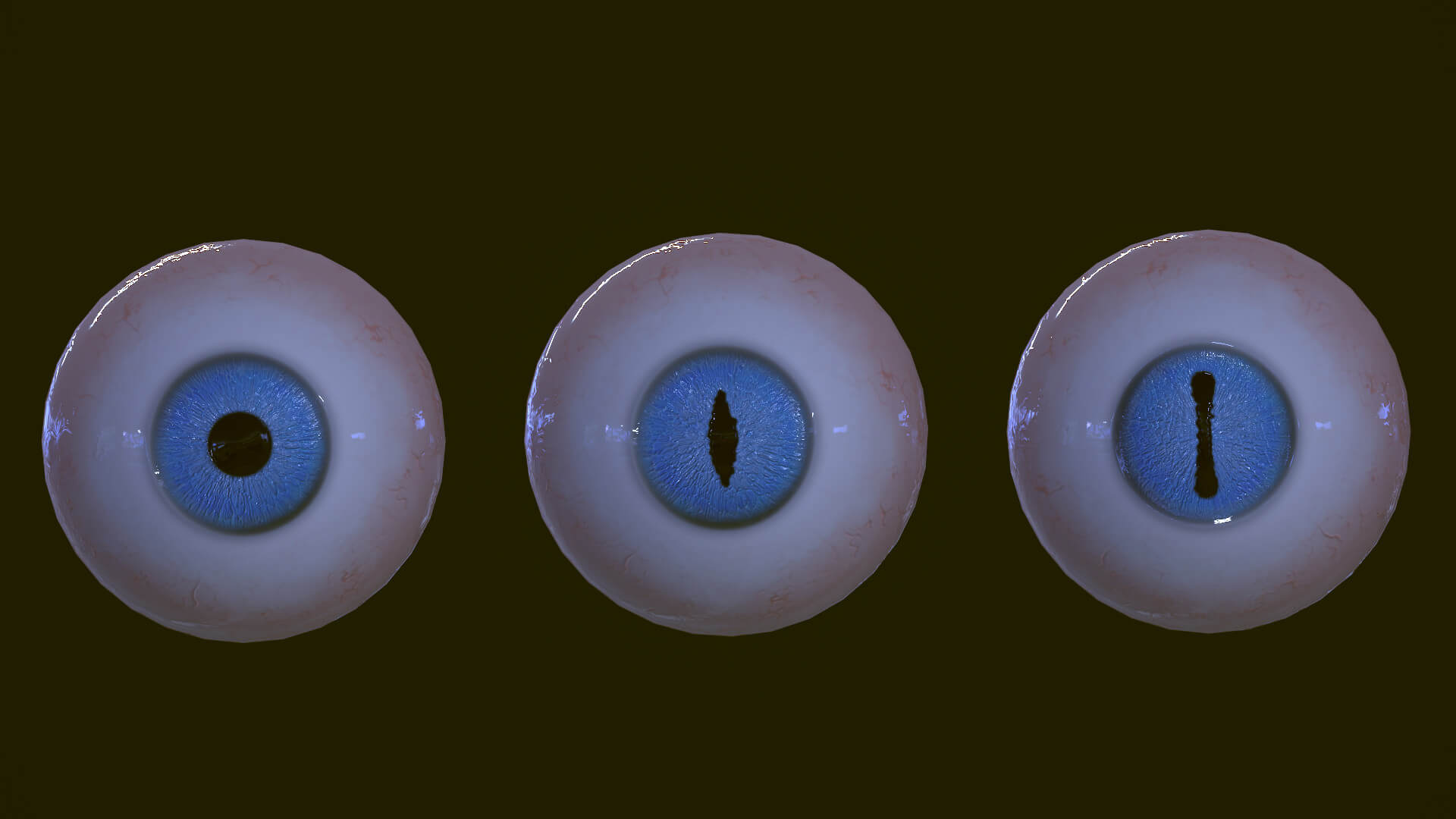 Eyeballs Pack - 3D Model by FIRA