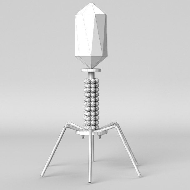 Bacteriophage - 3D Model by firdz3d
