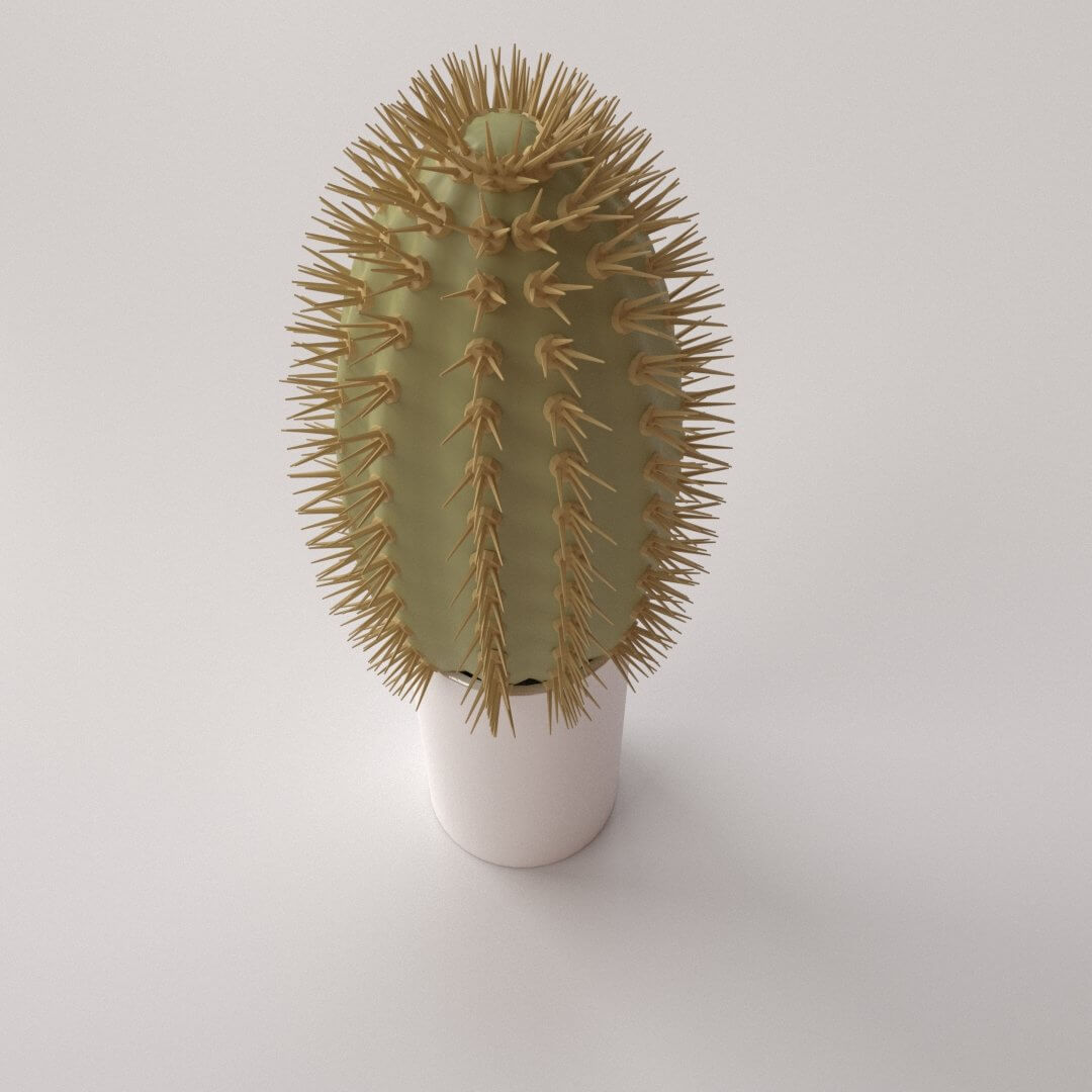 Cactus - 3D Model by firdz3d