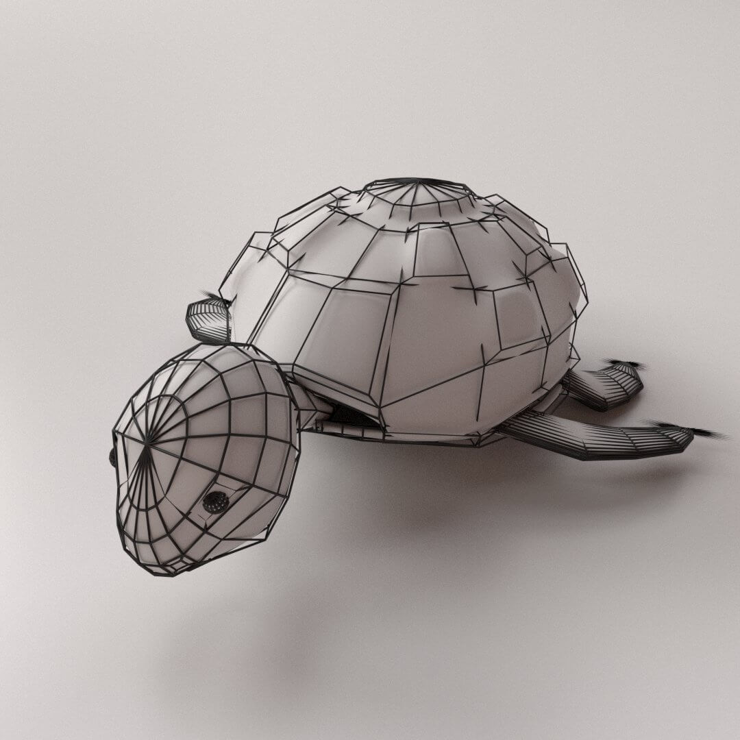 Cartoon Turtle - 3D Model by firdz3d