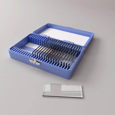 Microscope Slide Box - 3D Model by firdz3d