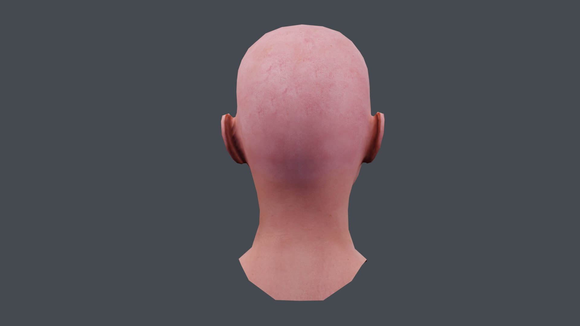Female Head Textured - 3D Model by Fleigh