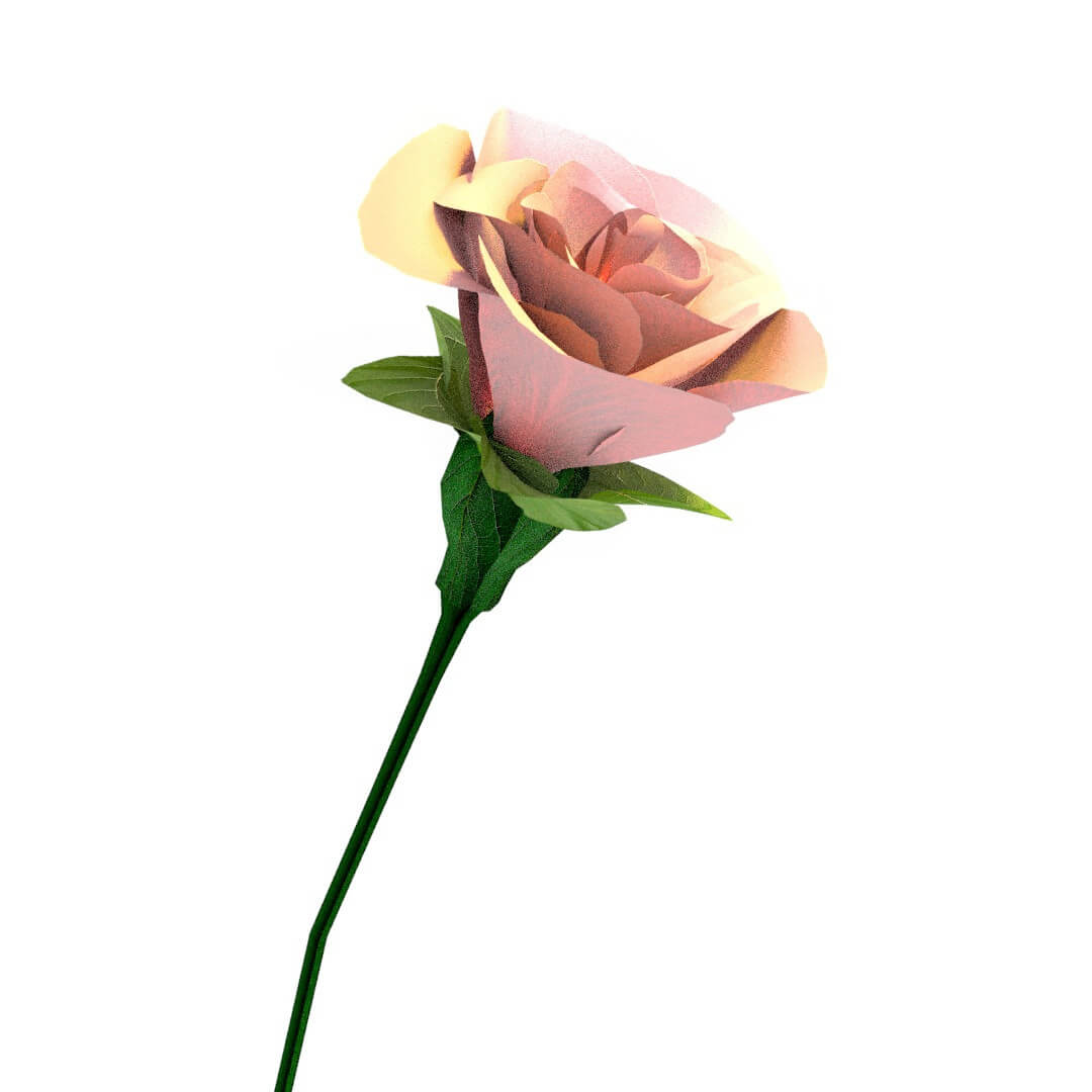 Pink Rose Flower - 3D Model by For 1 dolar
