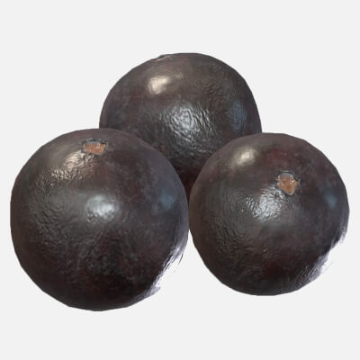 Acai Berry Fruit Low Poly - 3D Model by frezzy