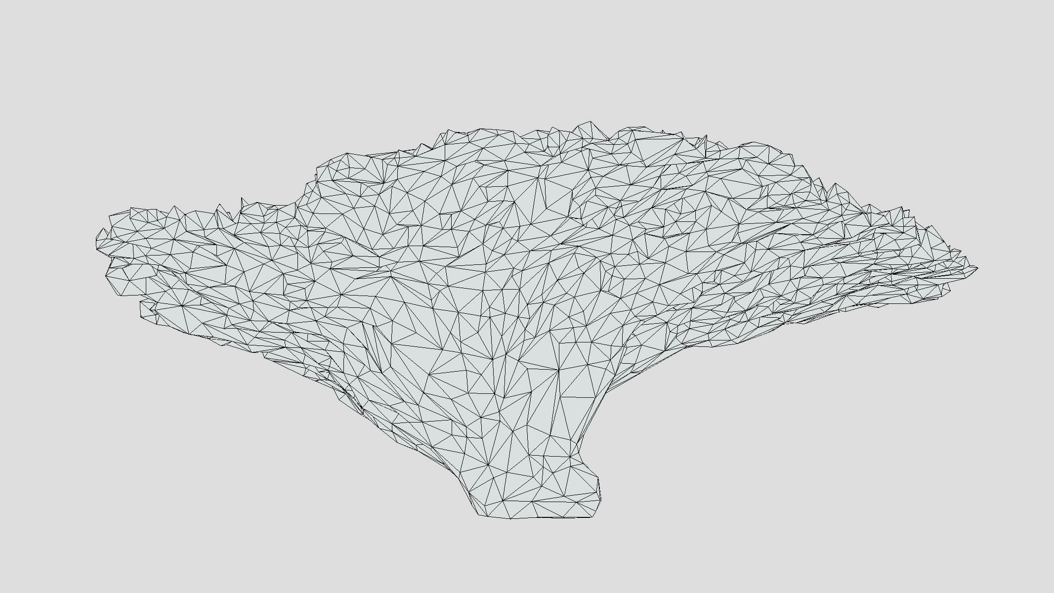 Acropora Clathrata Coral Low Poly - 3D Model by frezzy