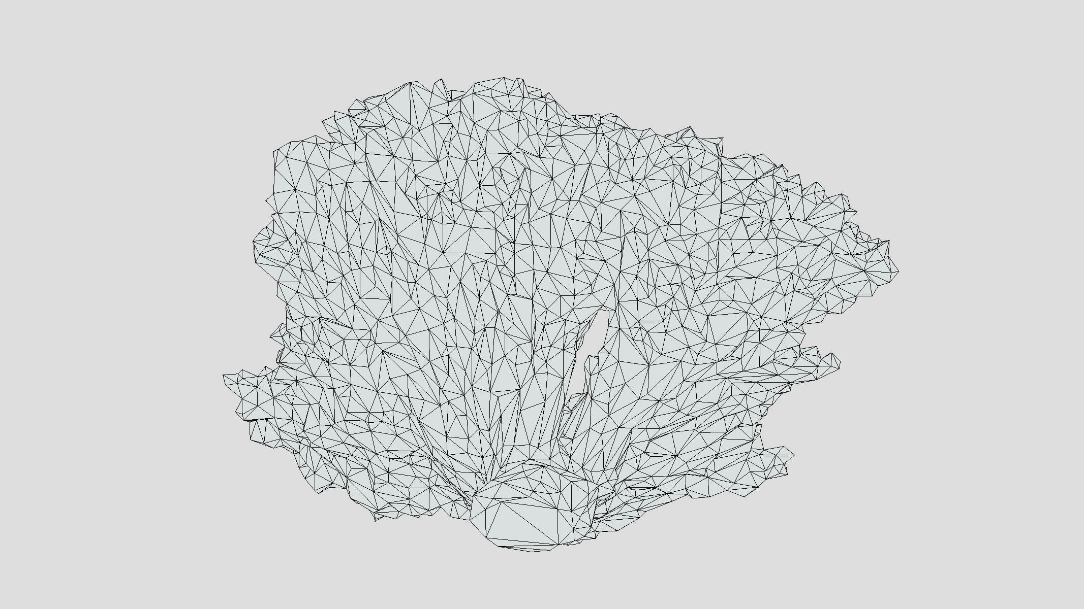 Acropora Clathrata Coral Low Poly - 3D Model by frezzy