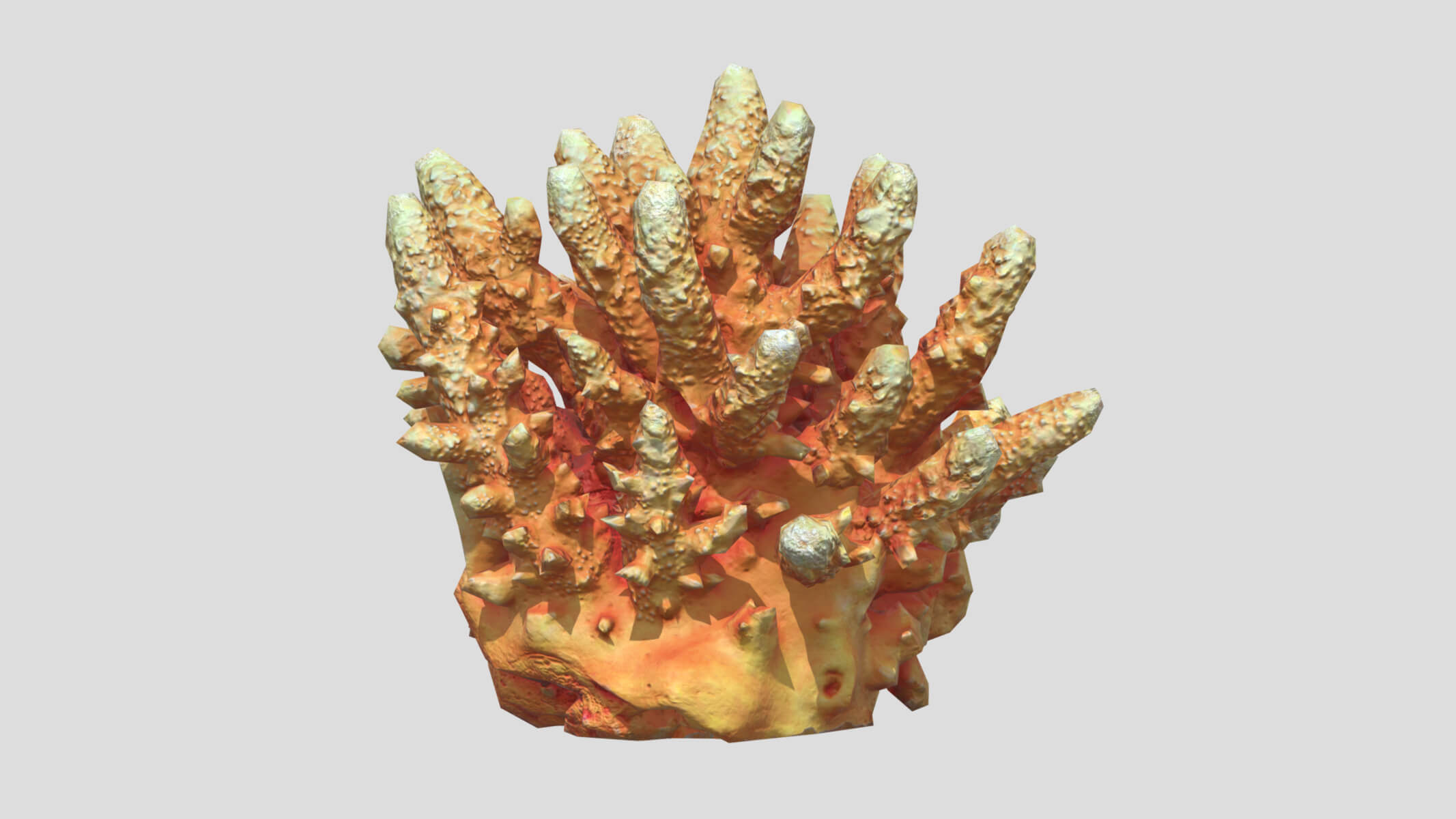 Acropora Coral Low Poly - 3D Model by frezzy