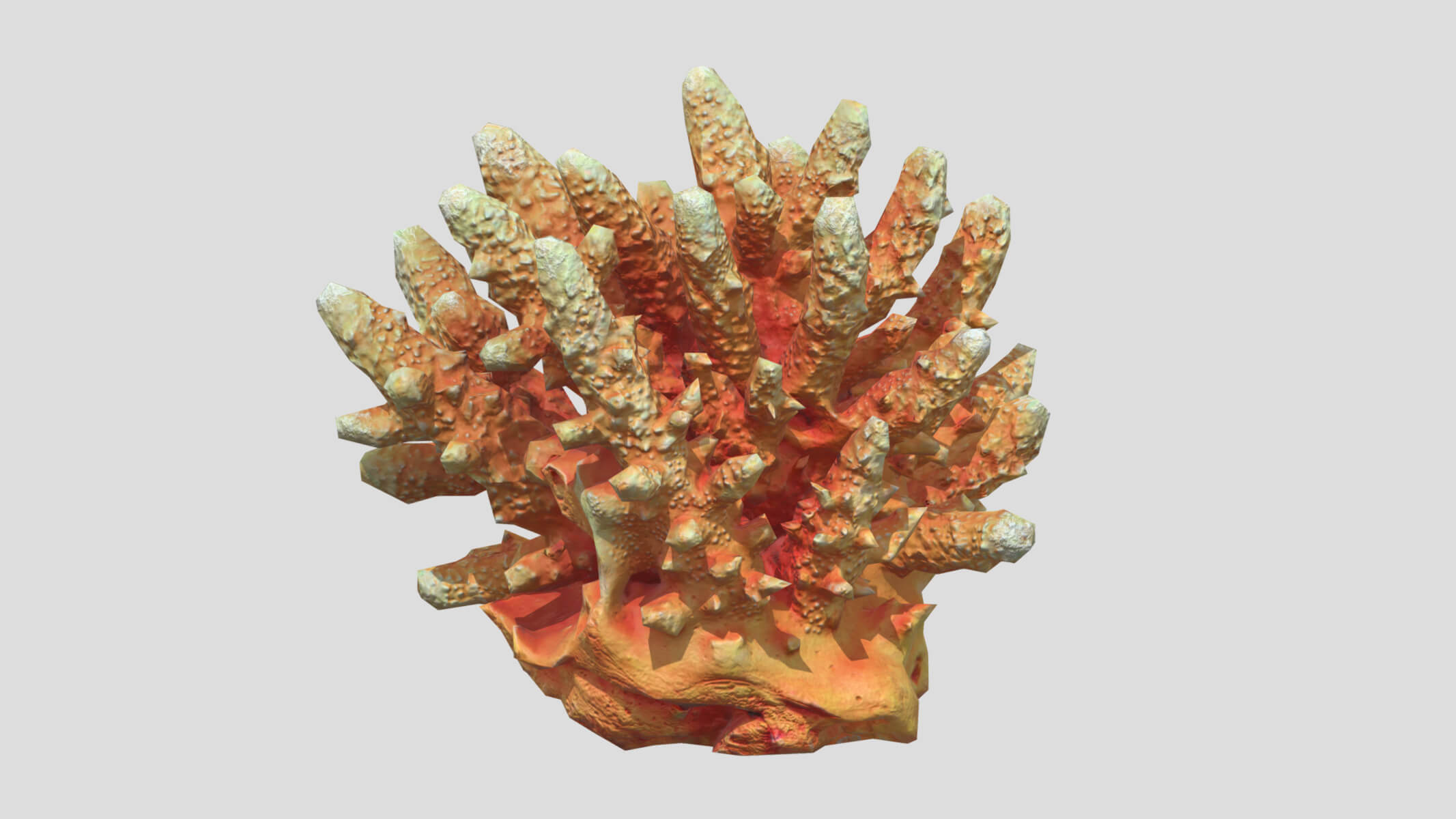 Acropora Coral Low Poly - 3D Model by frezzy