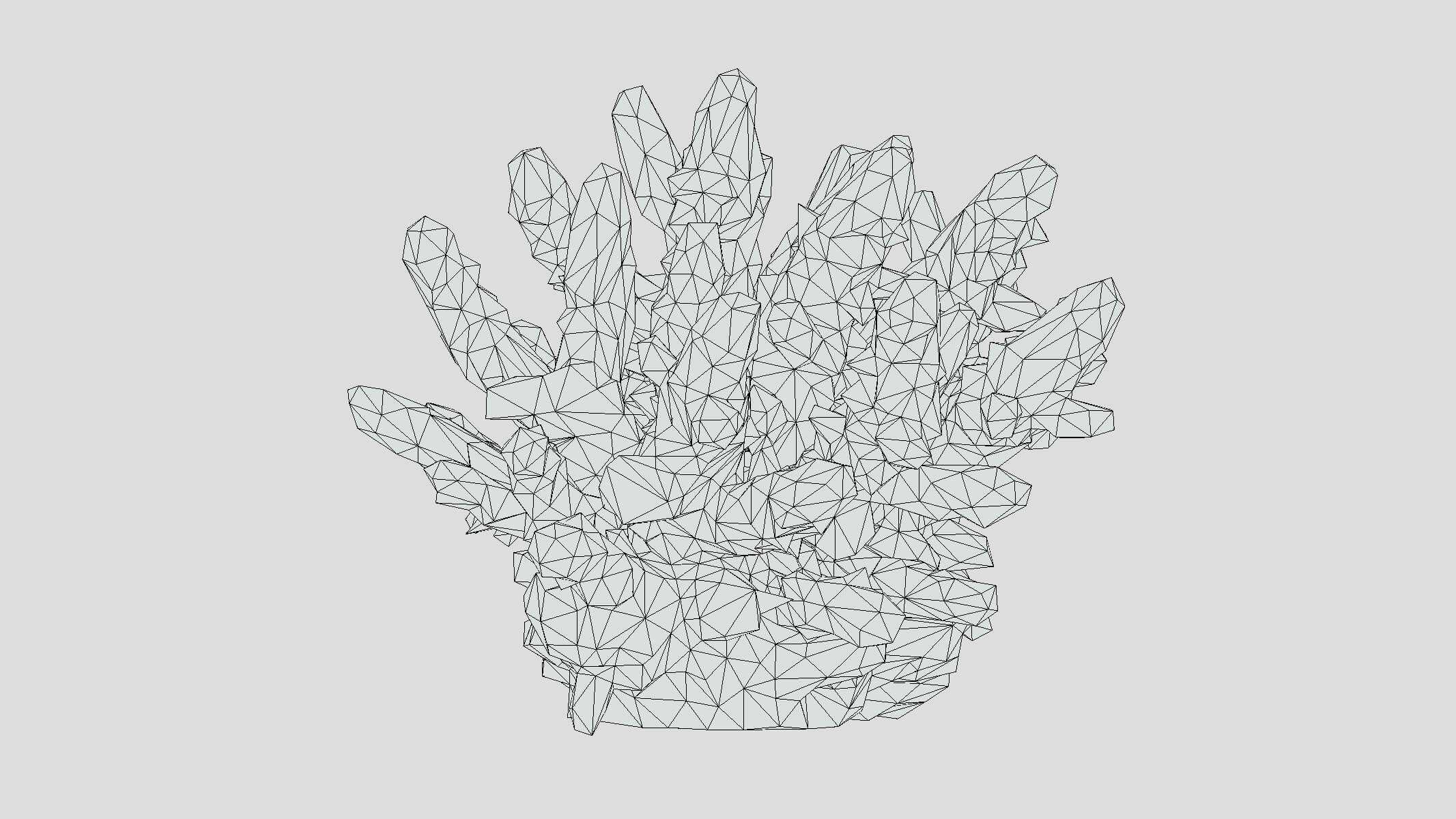 Acropora Coral Low Poly - 3D Model by frezzy