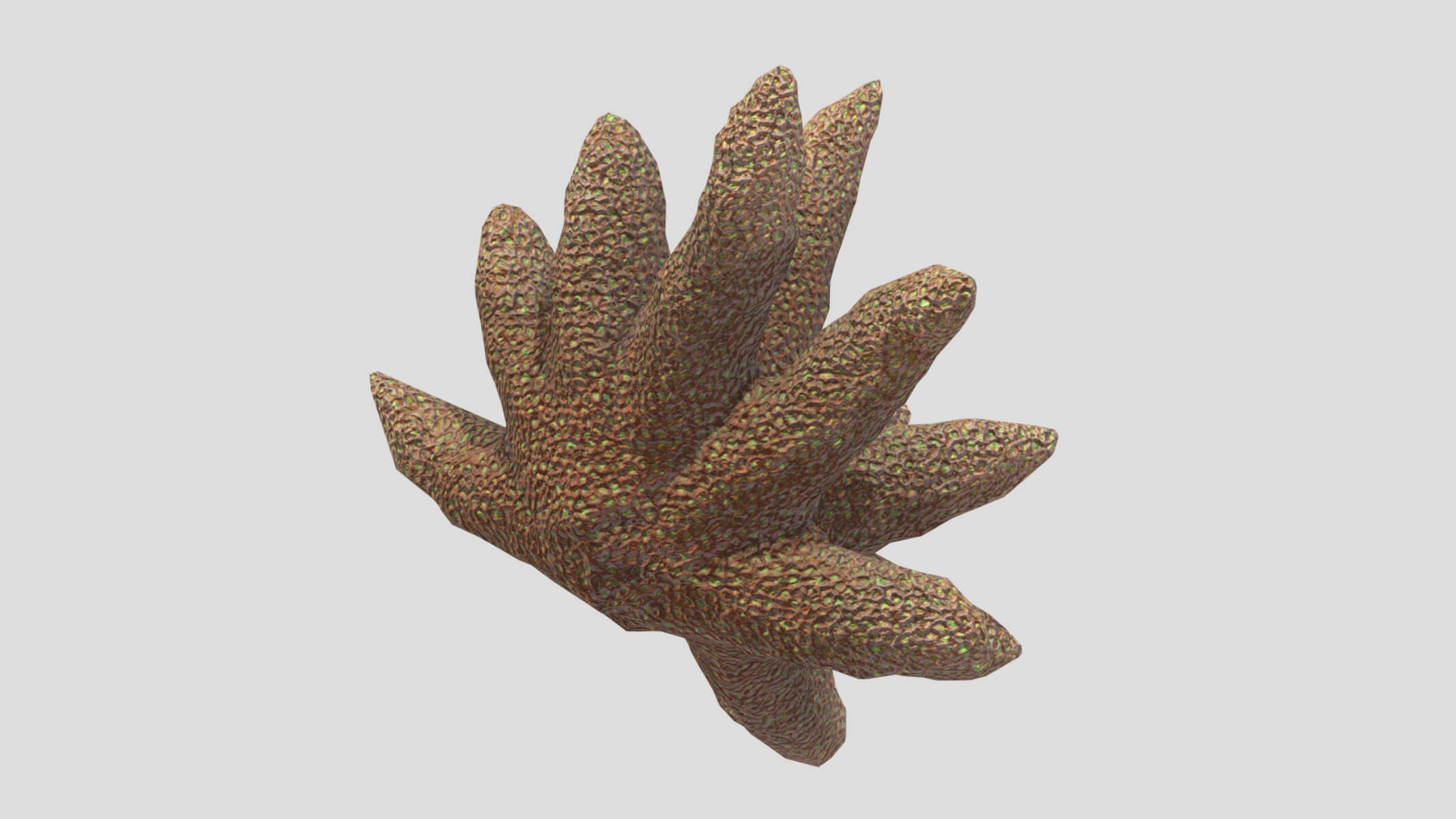 Acroporidae Low Poly - 3D Model by frezzy