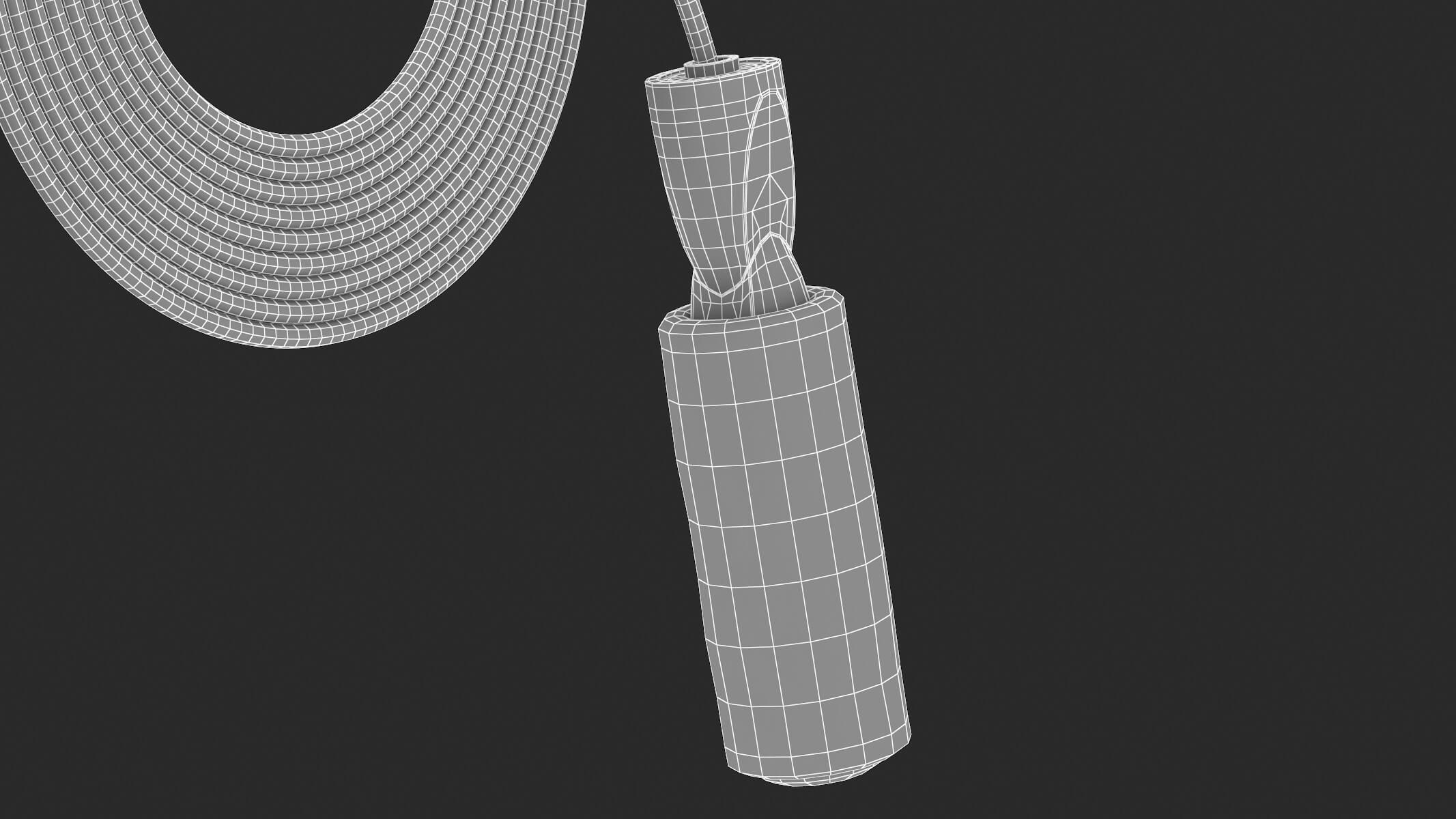 Adjustable Steel Wire Jump Rope - 3D Model by frezzy