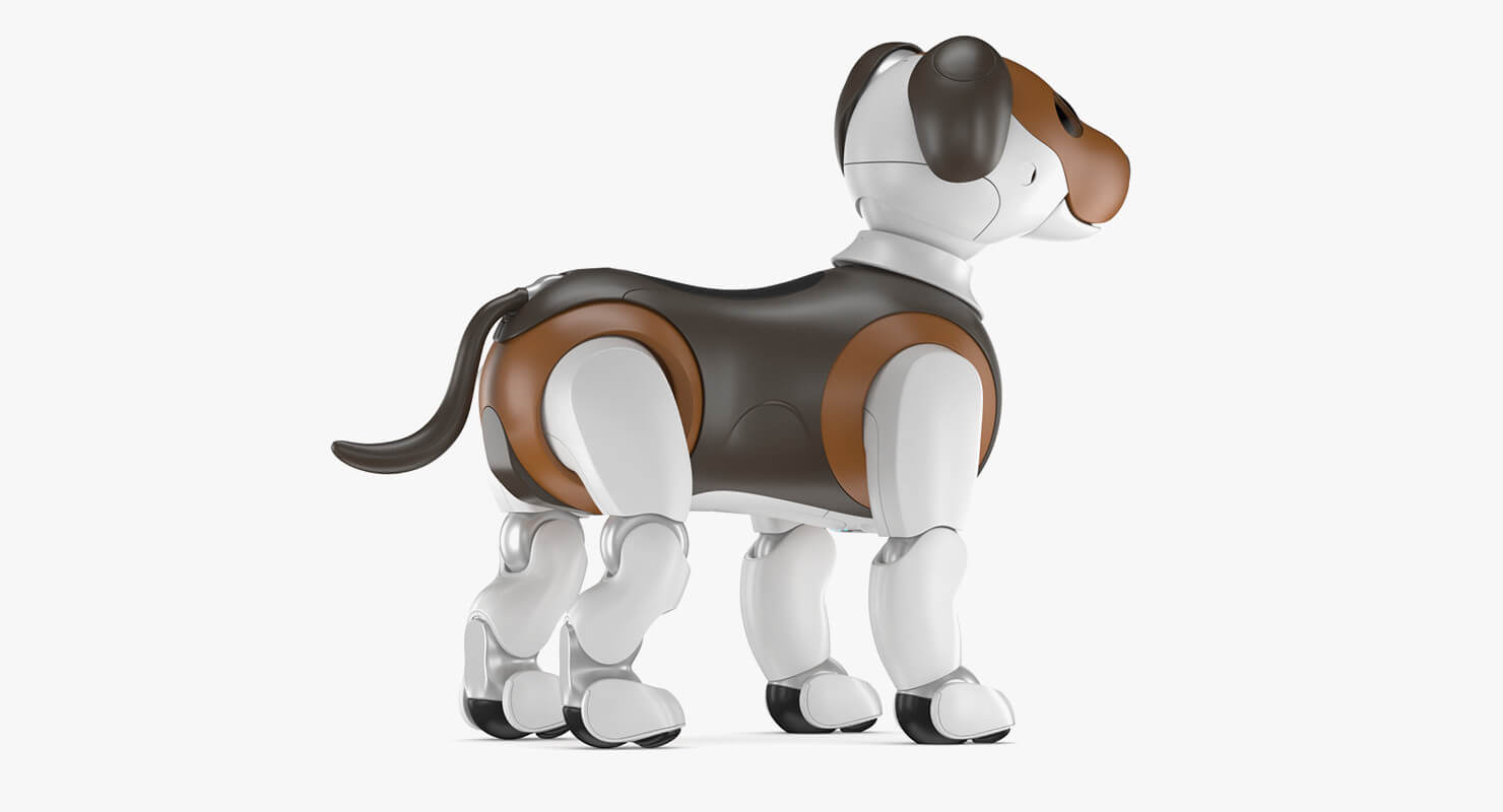 Aibo Choco - 3D Model by frezzy