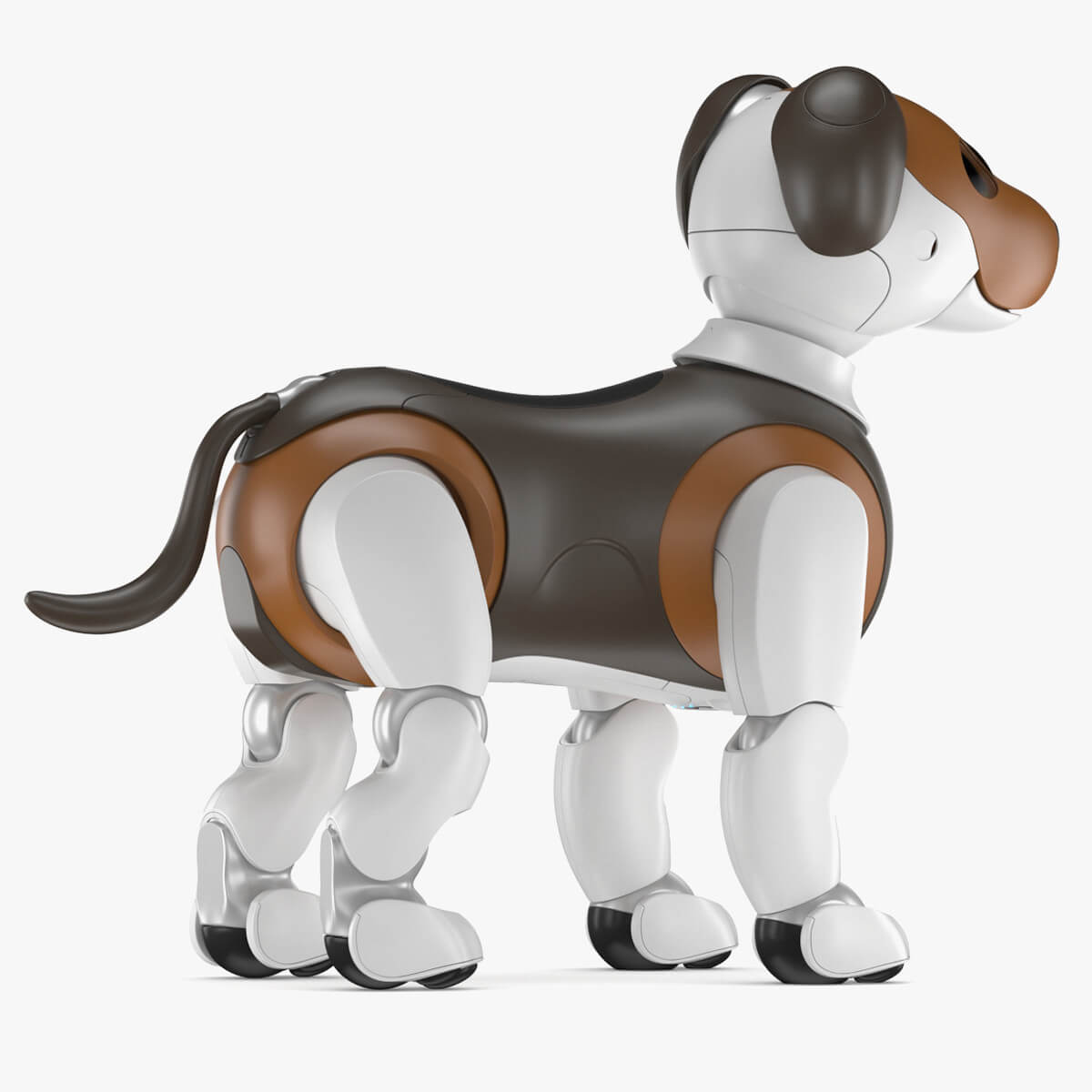 Aibo Choco - 3D Model by frezzy